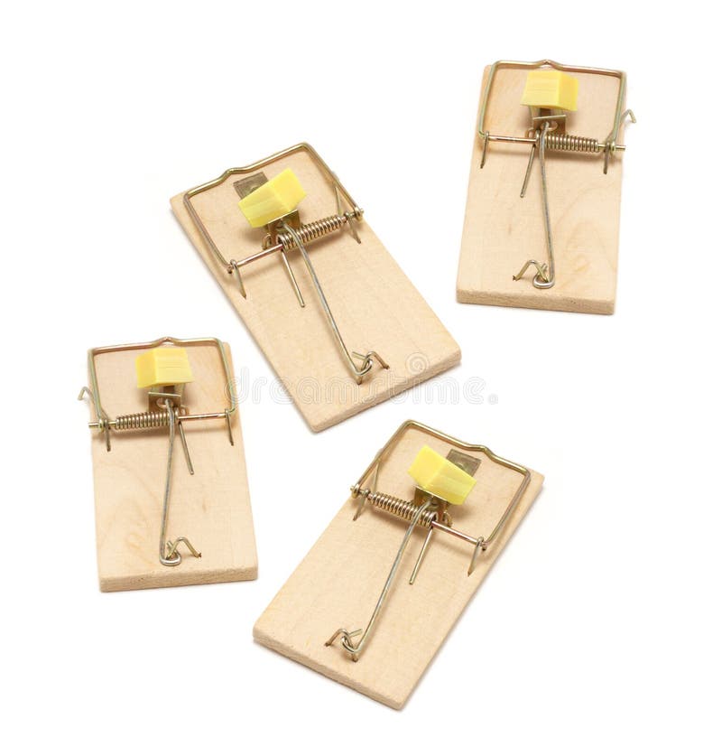 Venus flytrap stock image. Image of trap, muscipula, carnivorous - 15308061