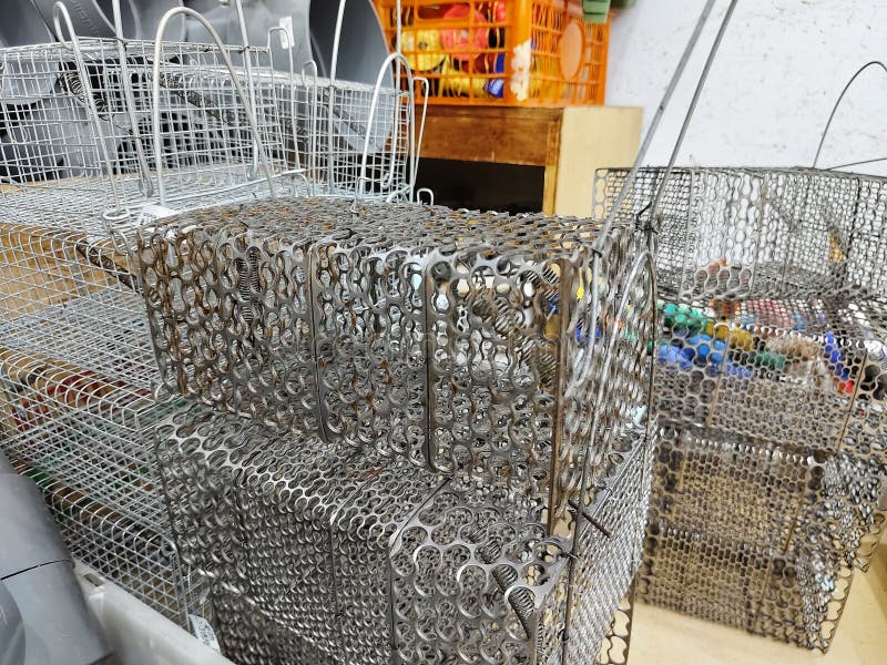 Mouse Traps Stacked in the Store Stock Image - Image of chair, table ...