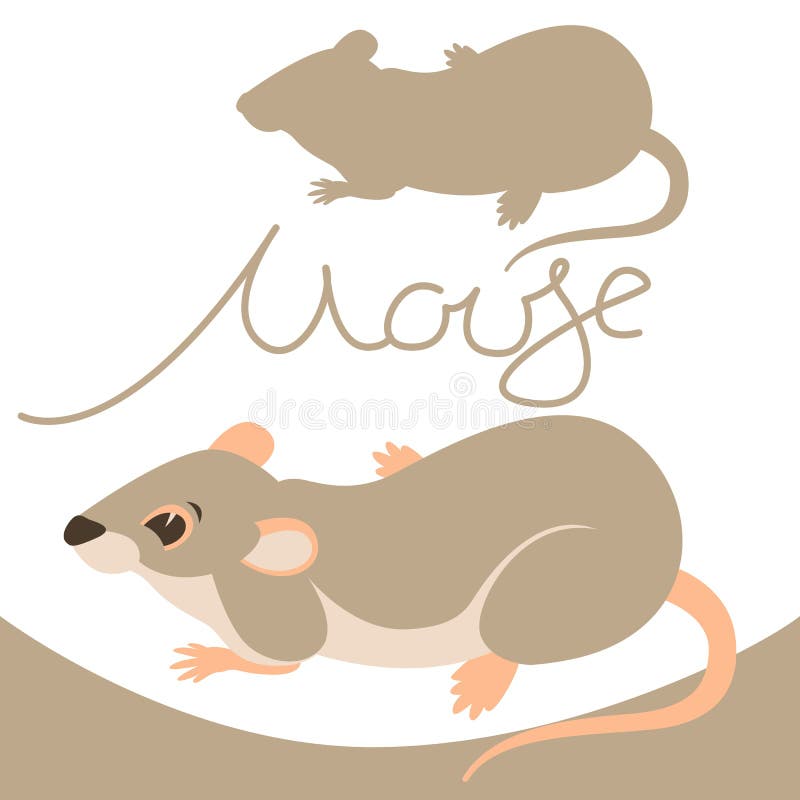 Mouse Vector Illustration Flat Style Silhouette Set Profile Stock ...