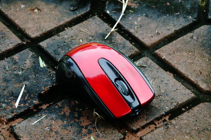 Mouse stock image. Image of grass, button, equipment - 34481267