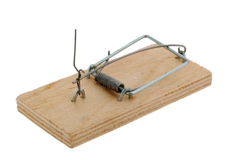 Diamond Ring Wedding Gift on Mouse Trap Stock Photo - Image of occasion ...