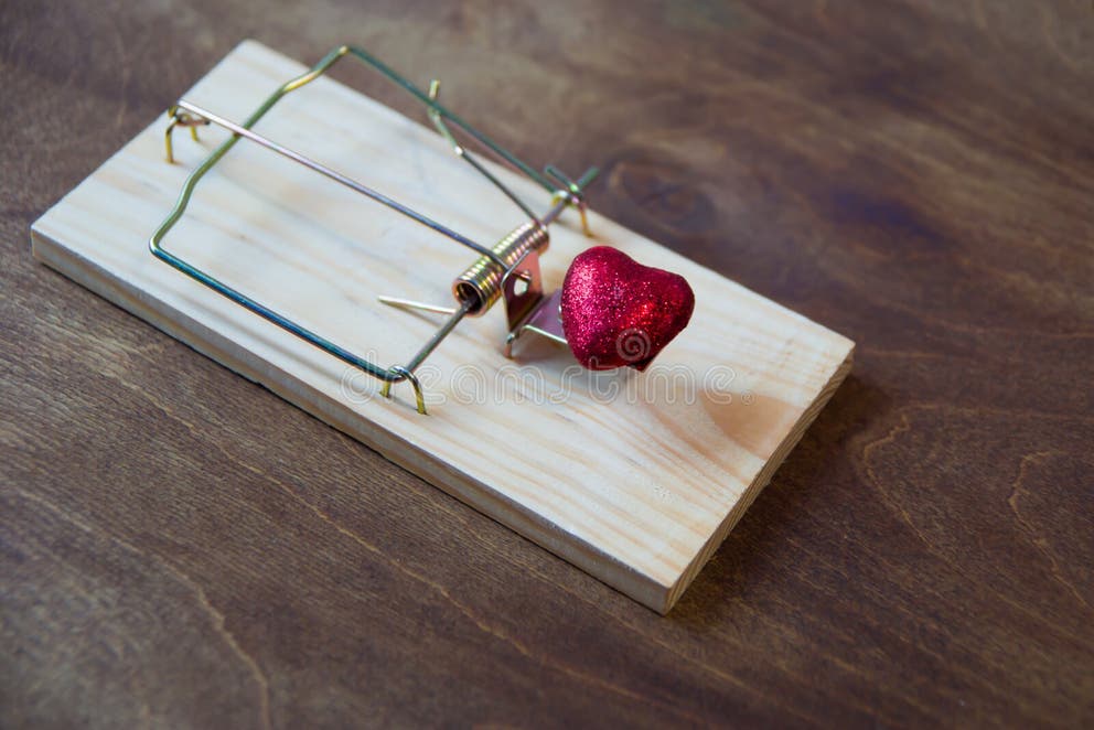 Mousetrap. Do Not Fall for the Bait Stock Image - Image of cheese ...