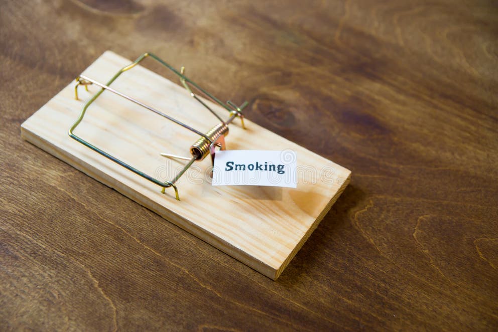 Mousetrap. Do Not Fall for the Bait Stock Image - Image of drugs, cheat ...