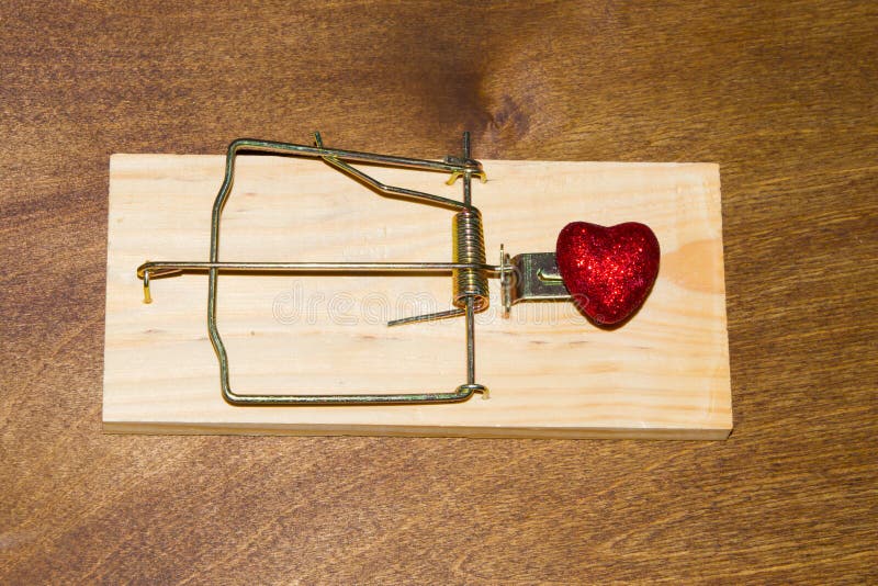 Mousetrap. Do Not Fall for the Bait Stock Image - Image of hide, idea ...