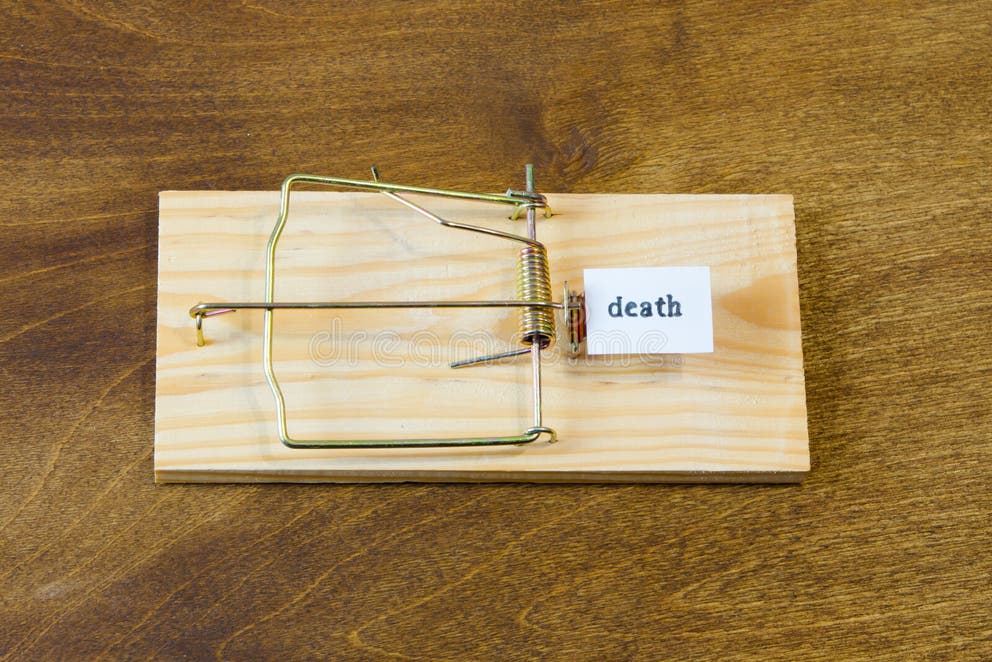 Mousetrap. Do Not Fall for the Bait Stock Image - Image of bribe ...