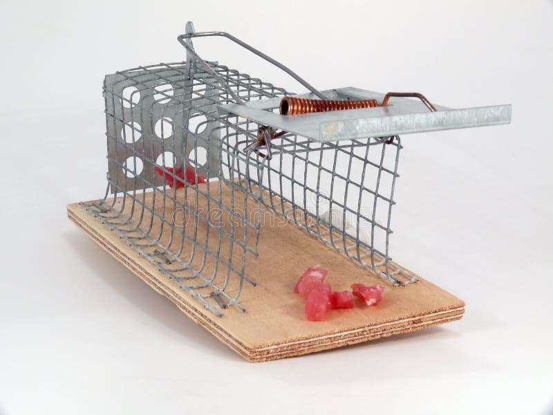 Mousetrap live traps, stock photo. Image of falls, pest - 13701254