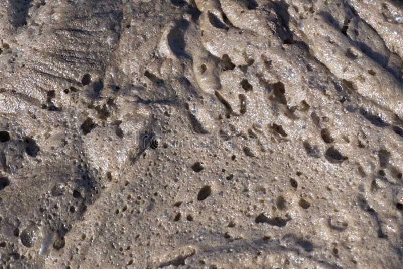 Mousse De Pollen Sur L'eau En Nature Image stock - Image du poussiéreux ...