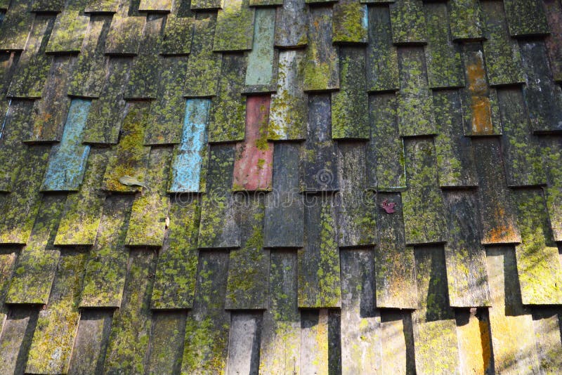 Mousse sur le toit image stock. Image du tuile, mousse - 49238525