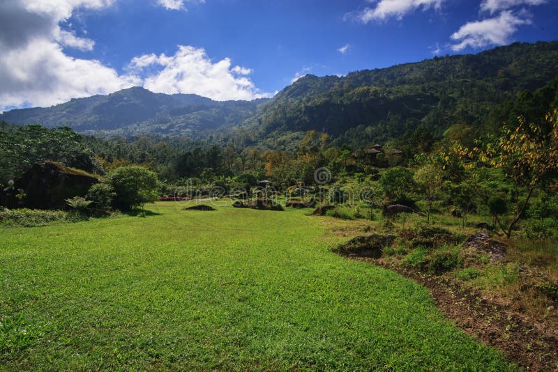 Moutain stock image. Image of peaceful, beautiful, flower - 79786295