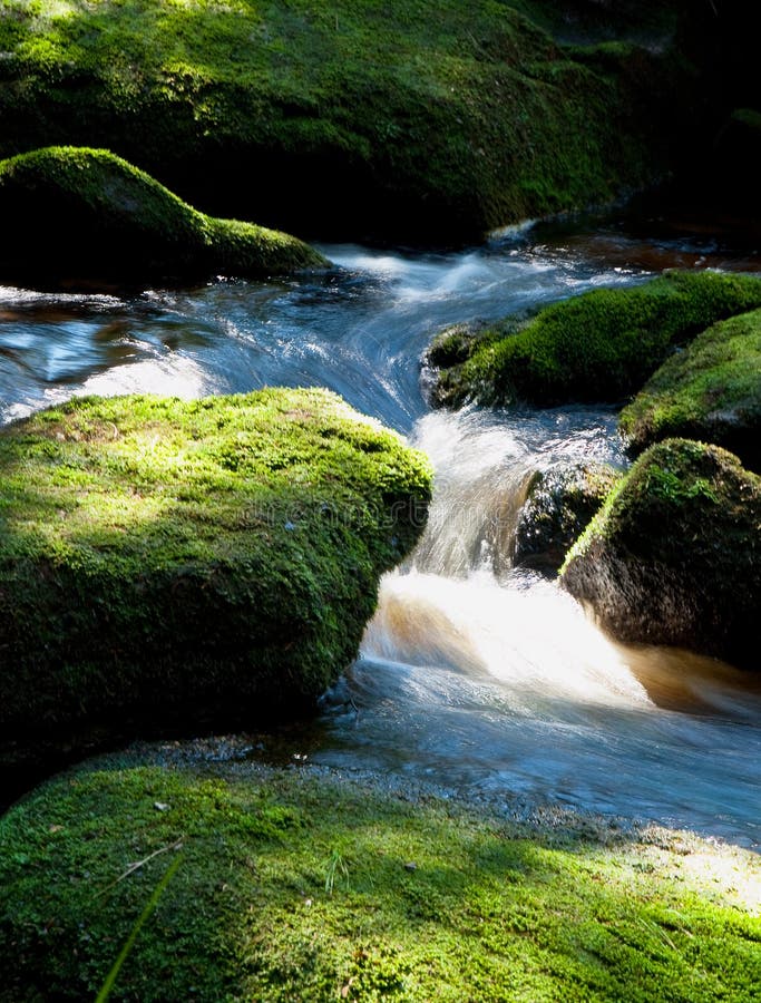 Moutain rapids stock photo. Image of rapids, bohemian - 15587988