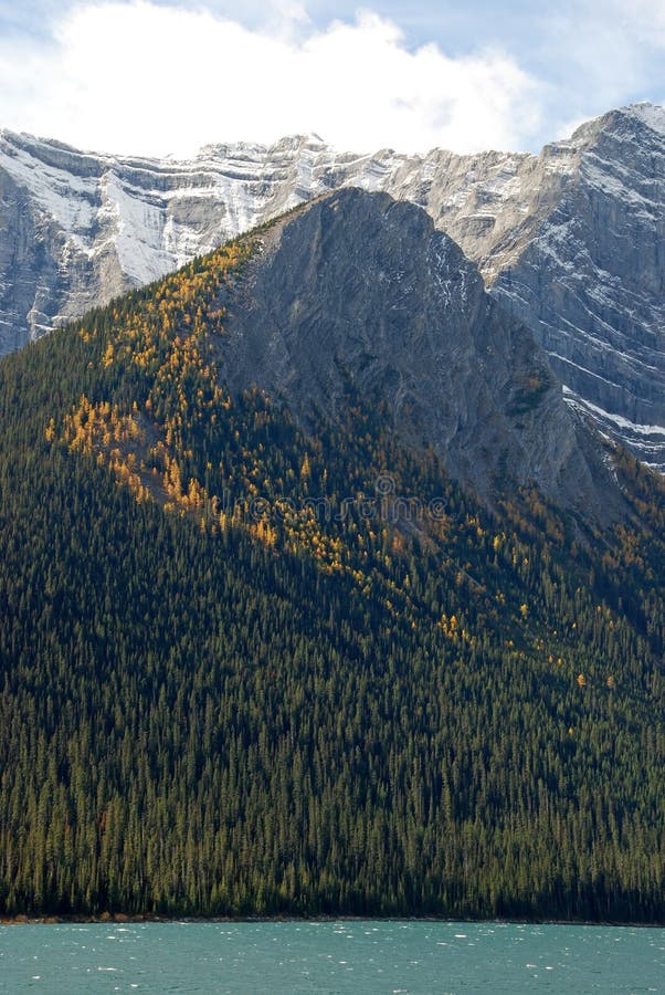 Moutain and trees stock photo. Image of people, mountain - 7520346