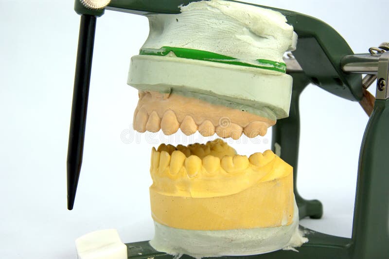 Dentures stock photo. Image of false, denture, artifact - 810924