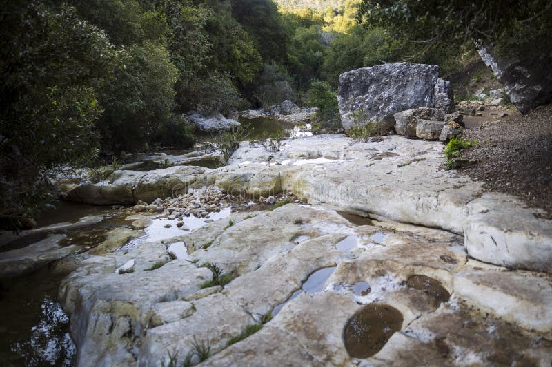The Mouth of the Oren Stream on Mount Carmel in Israel Stock Image ...