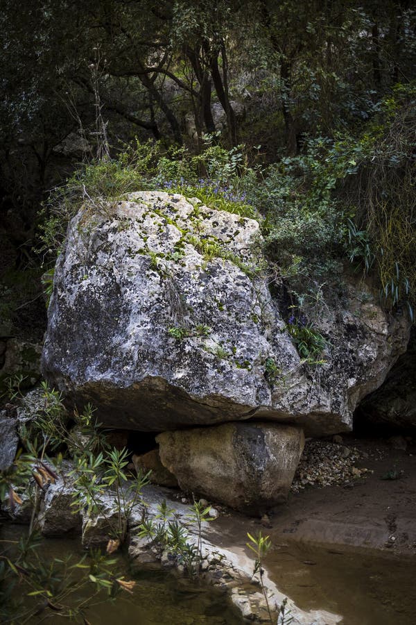 The Mouth of the Oren Stream on Mount Carmel in Israel Stock Photo ...