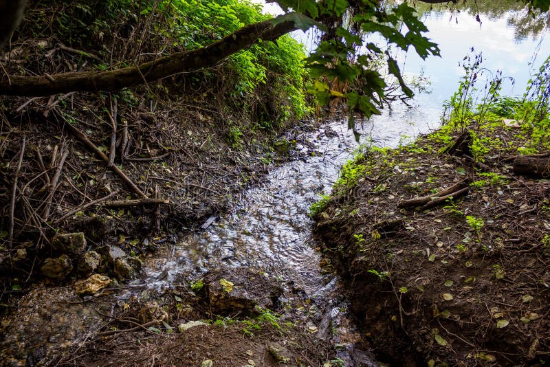 Mouth of a Small Stream that Flows into a River Stock Image - Image of ...