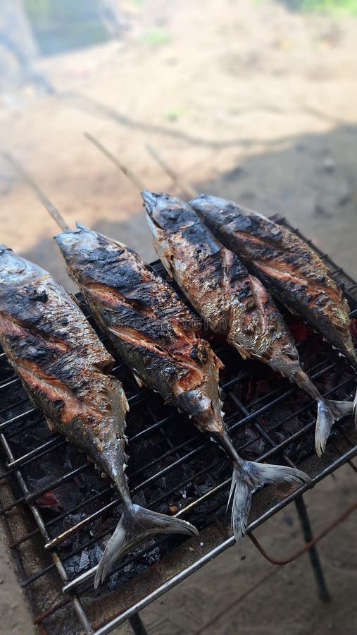 Mouthwatering Grilled Fish, Perfect for Lunch Stock Image - Image of ...