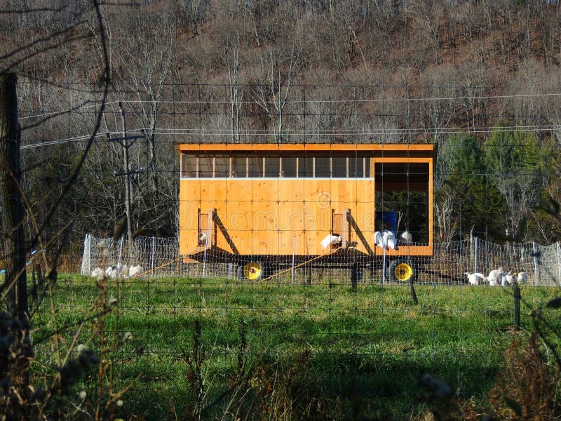 Movable Chicken Coop stock photo. Image of raising, coop - 78040300