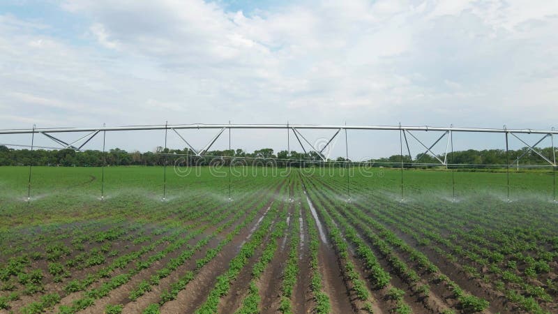 Watering Crops in Indian Countryside with Irrigation System Using ...