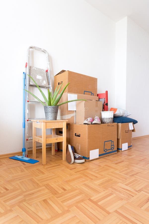 Move. Cardboard Boxes, Cleaning Things and Stuff for Moving into a New ...
