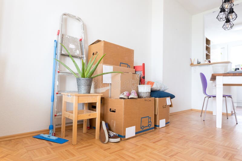 Move. Cardboard Boxes, Cleaning Things and Stuff for Moving into a New ...