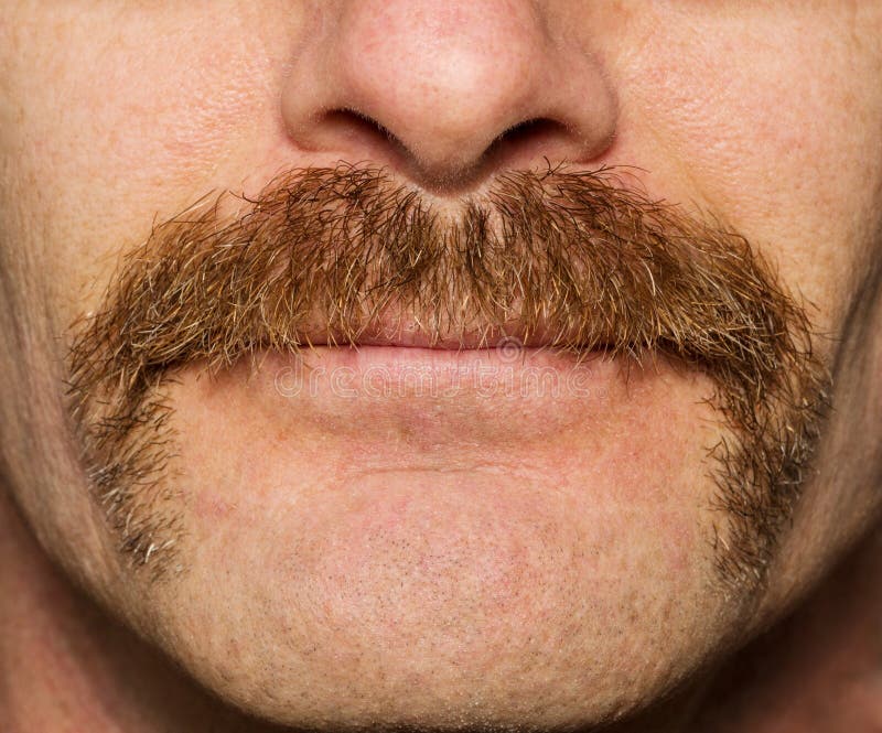 Movember-Schnurrbart stockfoto. Bild von mann, frisch - 46562796