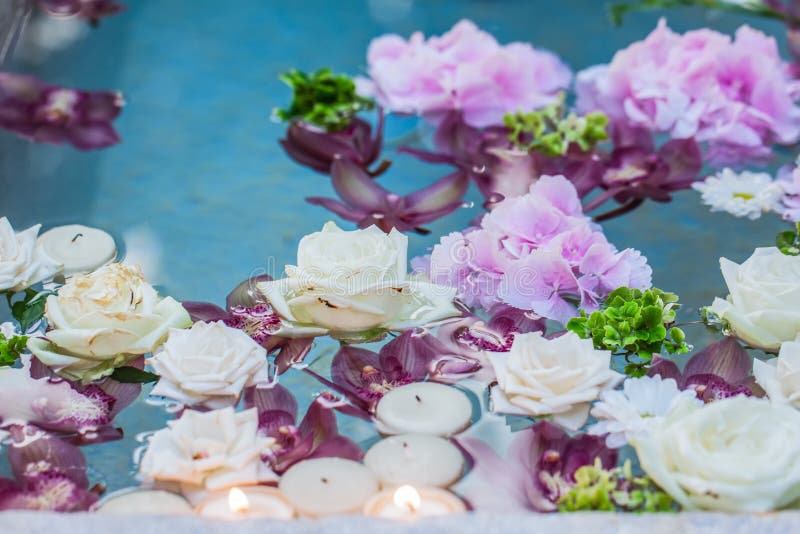 Movement stock photo. Image of engagement, floral, human - 27802742