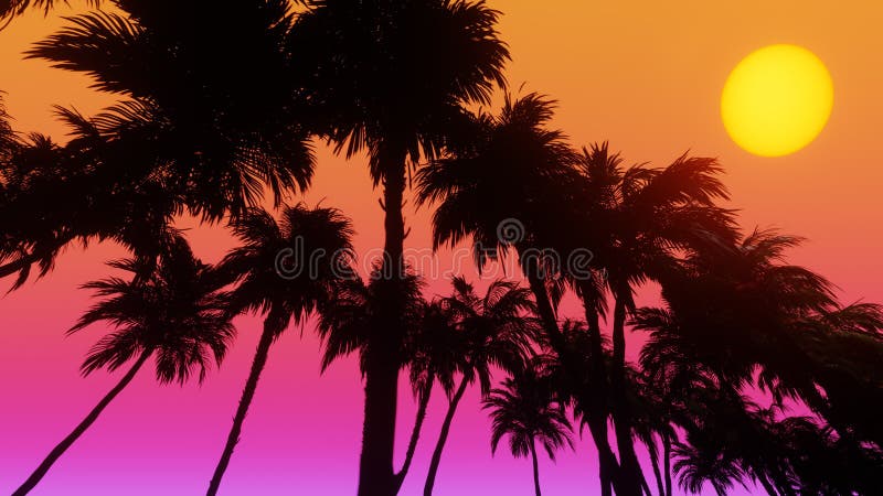 Movement through Palm Alley Bottom View of Coconut Palm Trees at Night ...