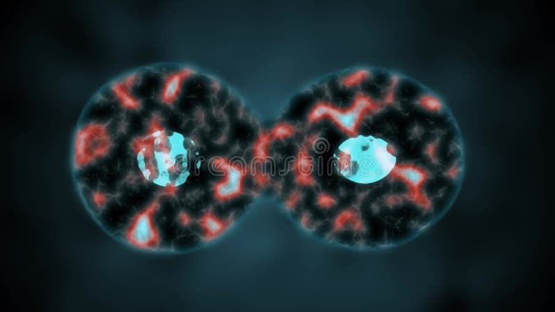 The Movement of Binary Division Cells Stock Footage - Video of abstract ...