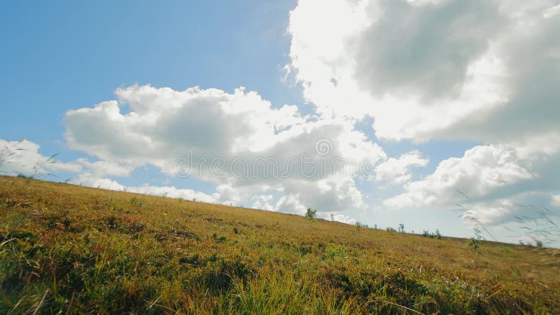 Movement in the Field from the First Person, Side View, Warm Sun Rays ...