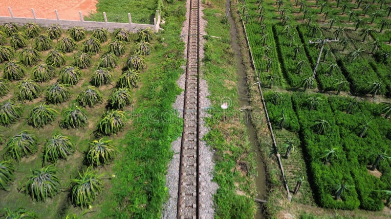 The Movement of the Train on Railway Tracks. Shooting Frontal Movement ...