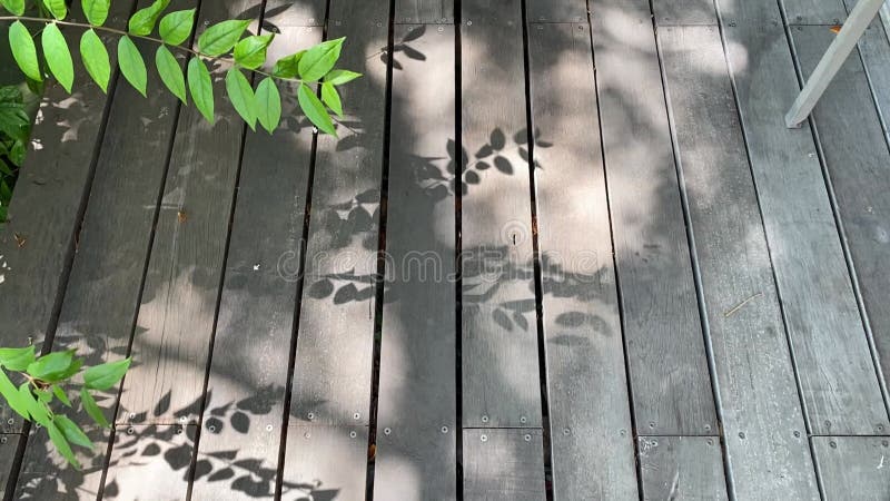 Movement of Tree Shadows and Bokeh Circle Lights on Wood Panel ...