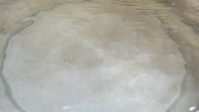 Shaking water stock footage. Video of fresh, bottom - 316752742