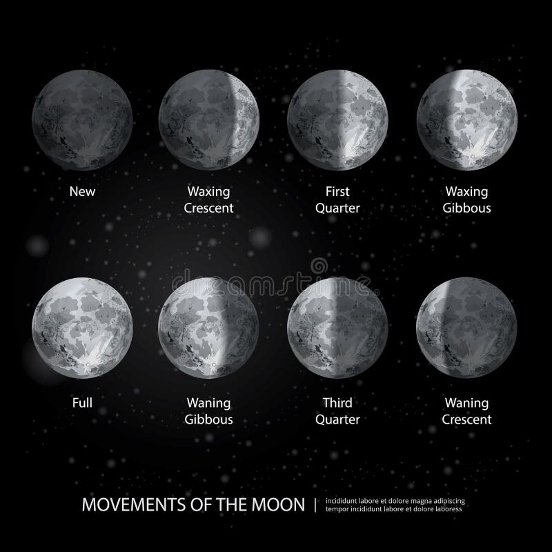 Movements of the Moon Phases Realistic Stock Vector - Illustration of ...
