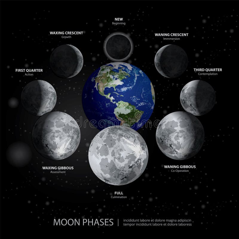 Movements of the Moon Phases Realistic Stock Vector - Illustration of ...