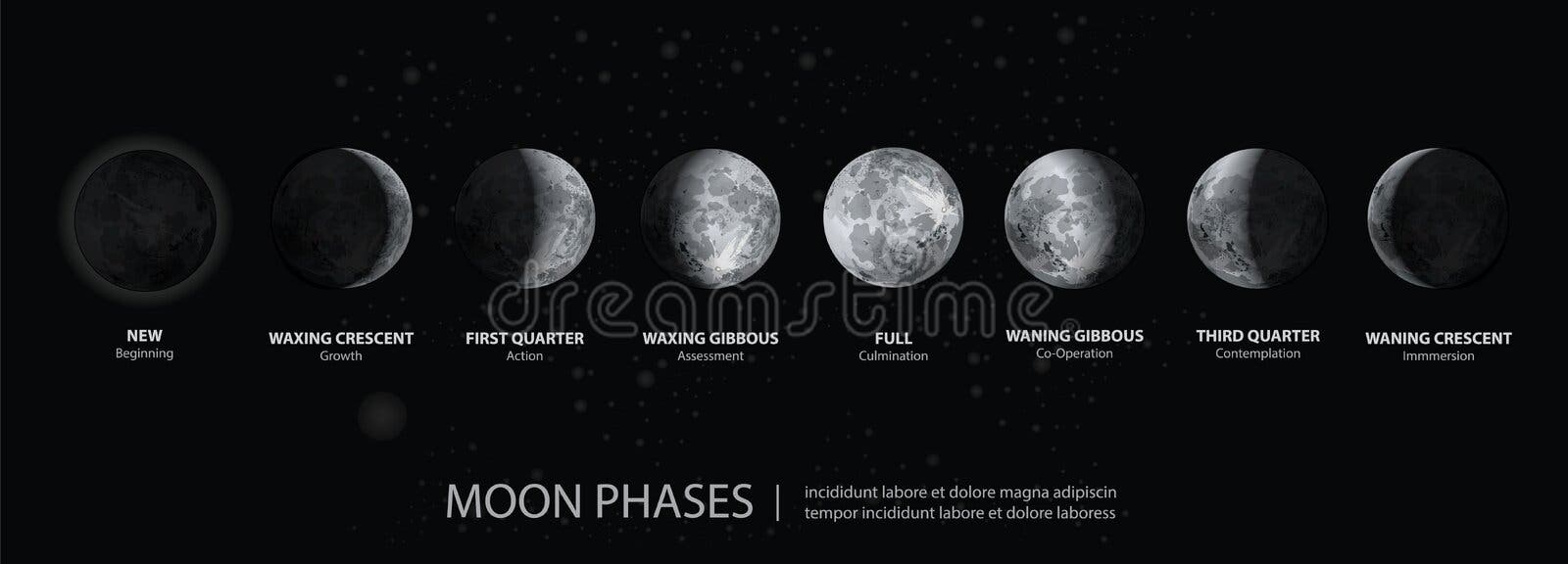 Moon Phases Stock Illustrations – 7,329 Moon Phases Stock Illustrations ...