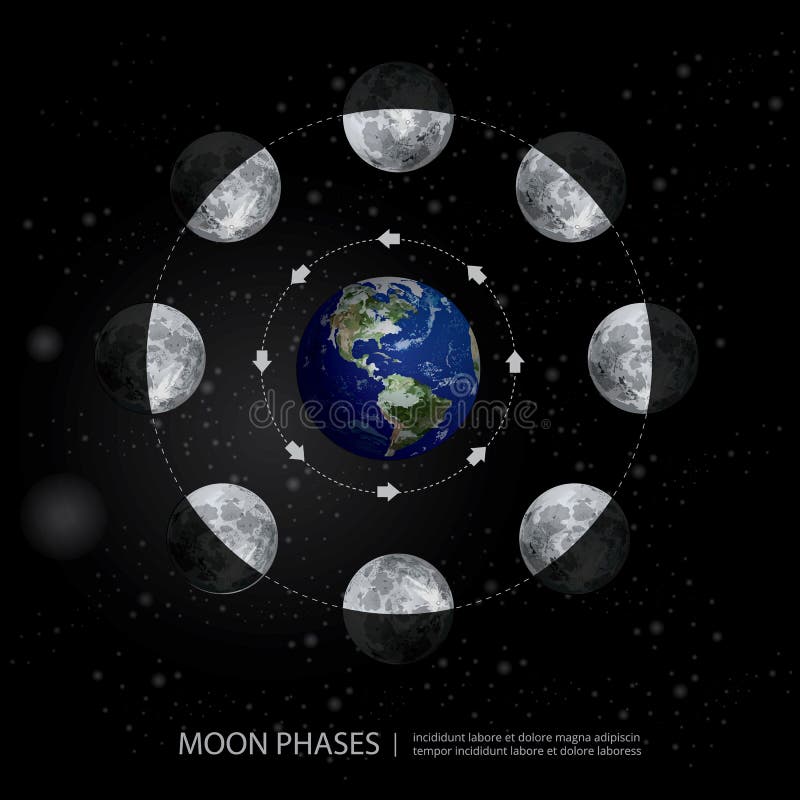 Movements of the Moon Phases Realistic Stock Vector - Illustration of ...