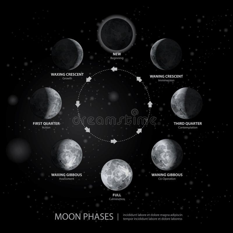 Movements of the Moon Phases Realistic Stock Vector - Illustration of ...