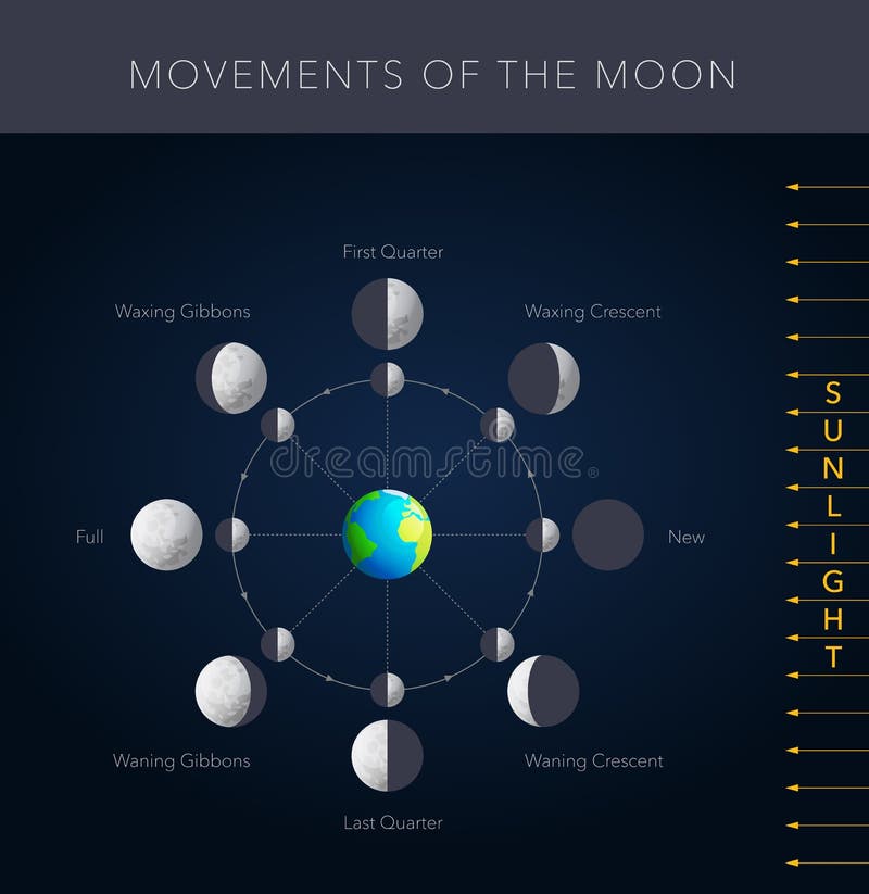 Movimentos do vetor da lua ilustração do vetor. Ilustração de ciência ...