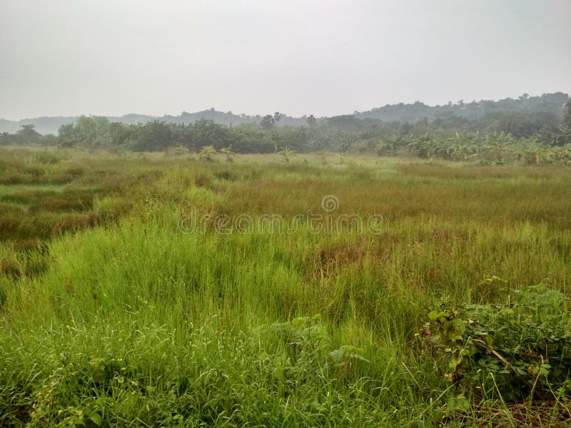 Movimiento En Tierras De Pasto Foto de archivo - Imagen de pista, cubo ...