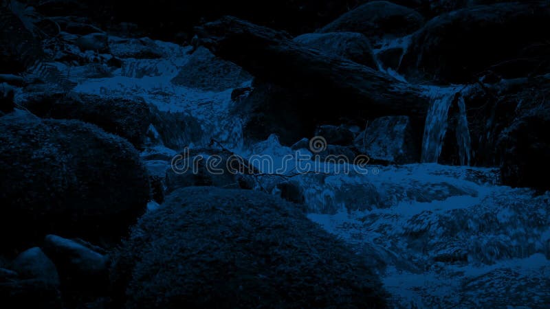 Moving Along Forest Stream at Night Stock Footage - Video of stones ...