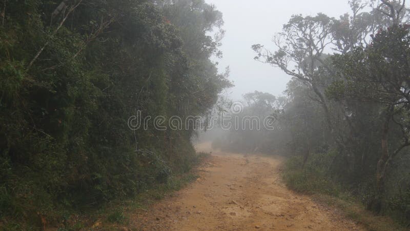 Moving Along Mountain Path among Tropical Forest. Point of View Walk ...
