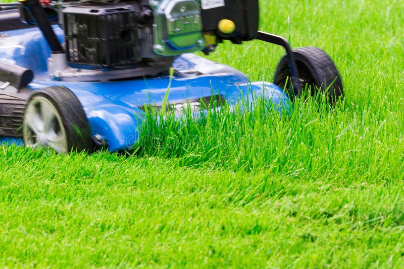 Moving Blue Lawnmover Cutting Green Grass Stock Photo - Image of field ...