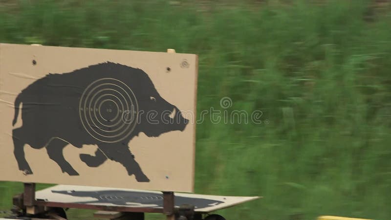 Moving Boar Target Moves Across the Shooting Range Stock Video - Video ...
