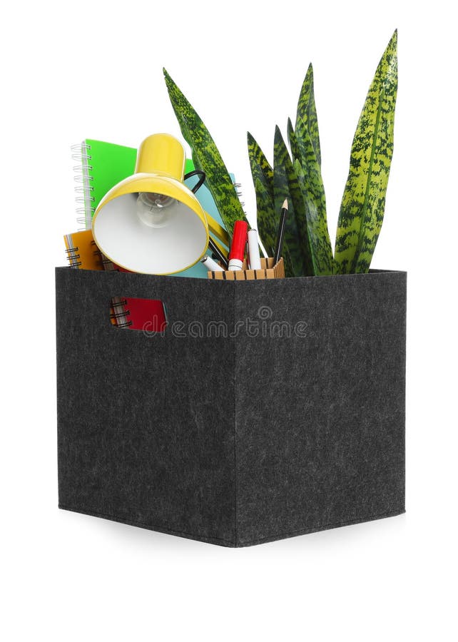 Moving Box with Stuff Isolated. Work Promotion Concept Stock Photo ...