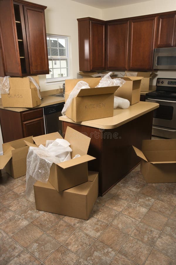Moving day stock image. Image of stress, sending, unpacking - 3376519