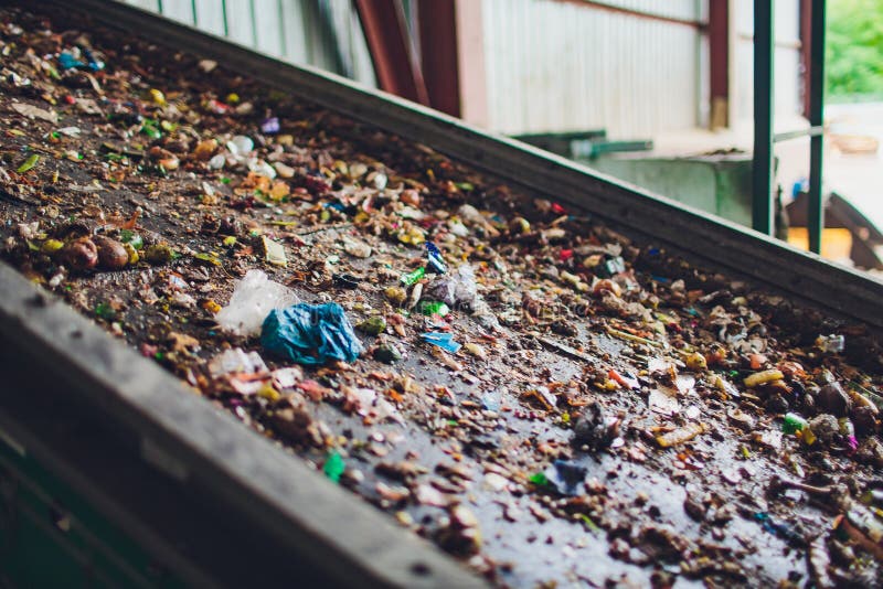 Moving Conveyor Transporter on Modern Waste Recycling Processing Plant ...