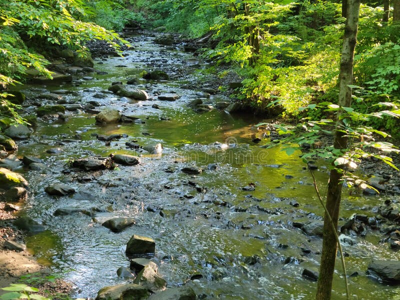Moving creek morning rays stock photo. Image of rays - 251892470