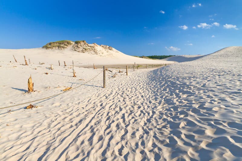 Moving Dunes Near Baltic Sea In Leba Royalty Free Stock Photo - Image ...