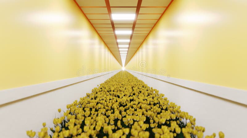 Moving through an Endless Yellow Corridor with Tulips on the Floor ...