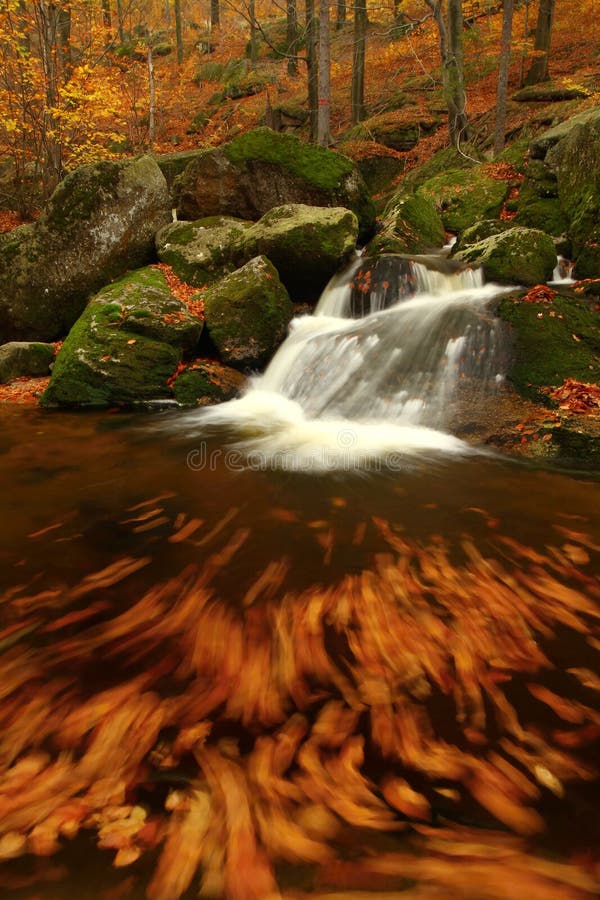 Moving leaves stock photo. Image of waterfall, brook - 35674358